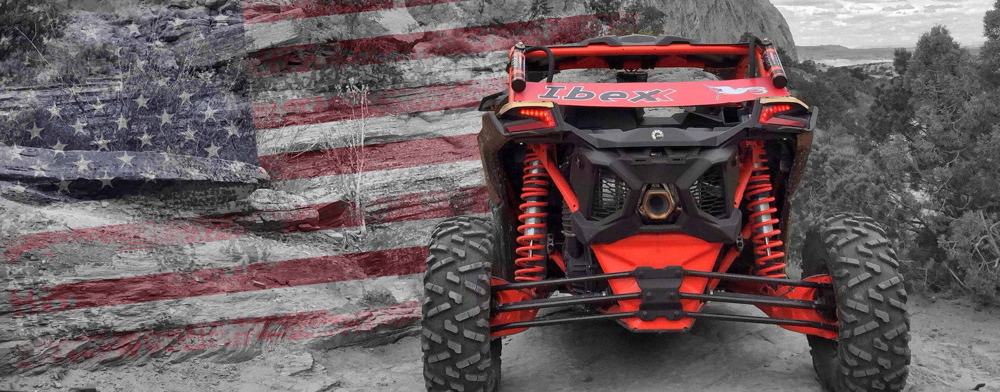 Testimonials | Reviews | IBEXX